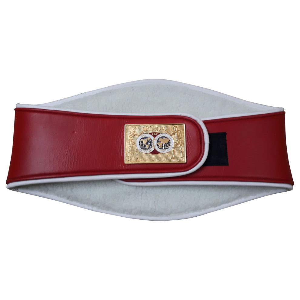 IBF INTERNATIONAL BOXING FEDERATION CHAMPIONSHIP BELT – Champions Title ...
